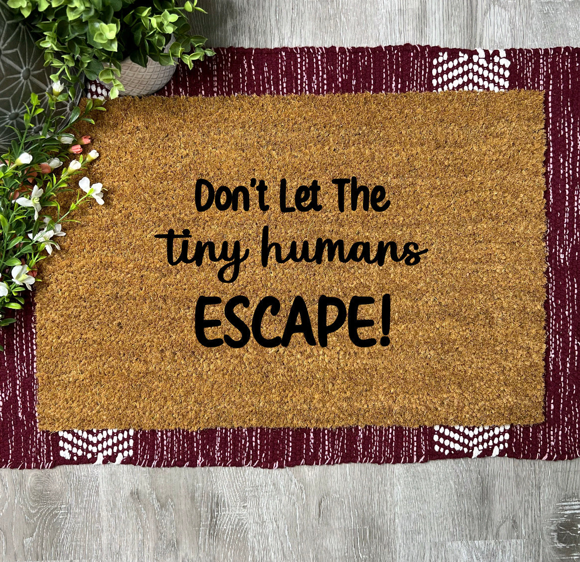 Don’t Let the Tiny Humans Escape | Wilde Cactus